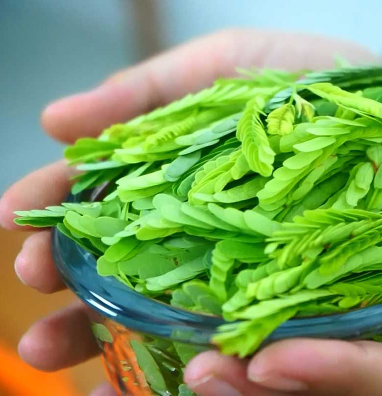 Kunyit and Asam Leaves for Sprue - Jamupedia