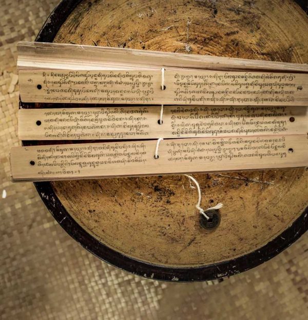 Getting to Know the Most Popular Medicinal Plants in Traditional ...