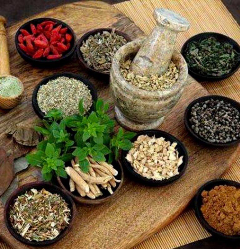 Getting to Know the Most Popular Medicinal Plants in Traditional ...